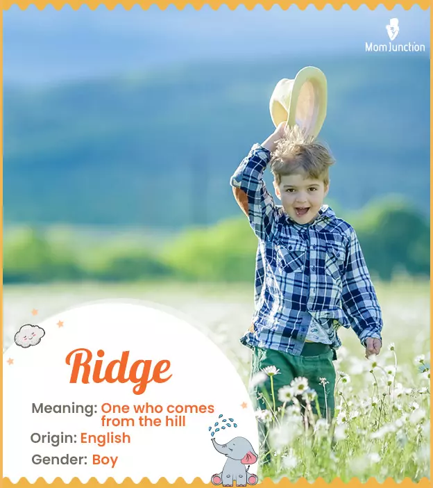 Explore Ridge Name Meaning: Comprehensive Guide To Origins & Trends ...