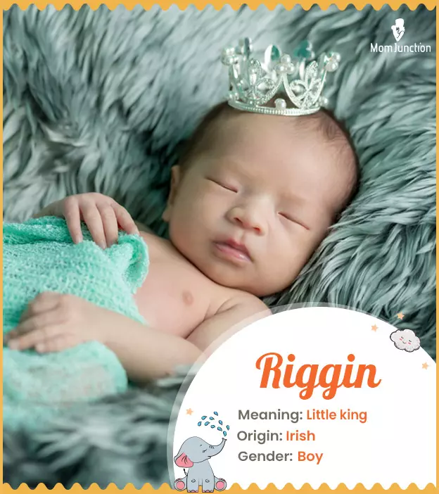Explore Riggin: Meaning, Origin & Popularity