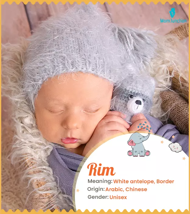 Explore Rim: Meaning, Origin & Popularity