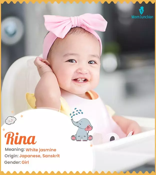 Rina Name Meaning, Origin, History, And Popularity