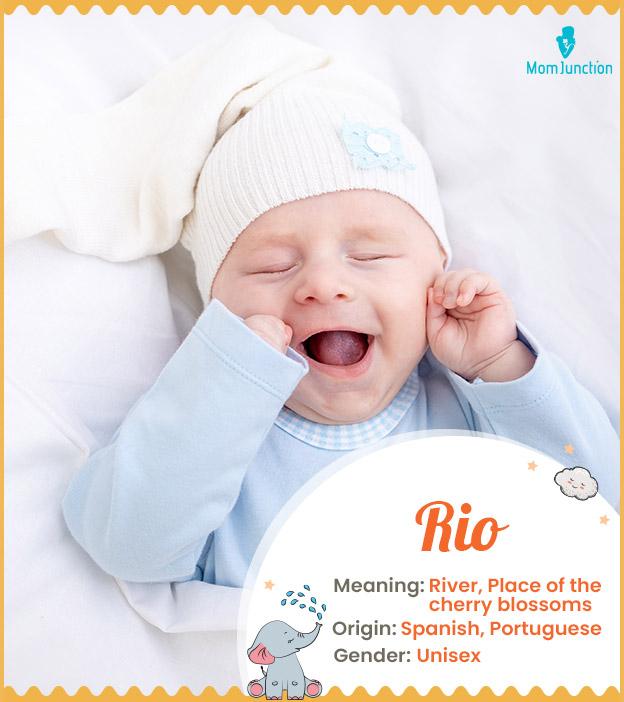 Explore Evaline: Meaning, Origin & Popularity