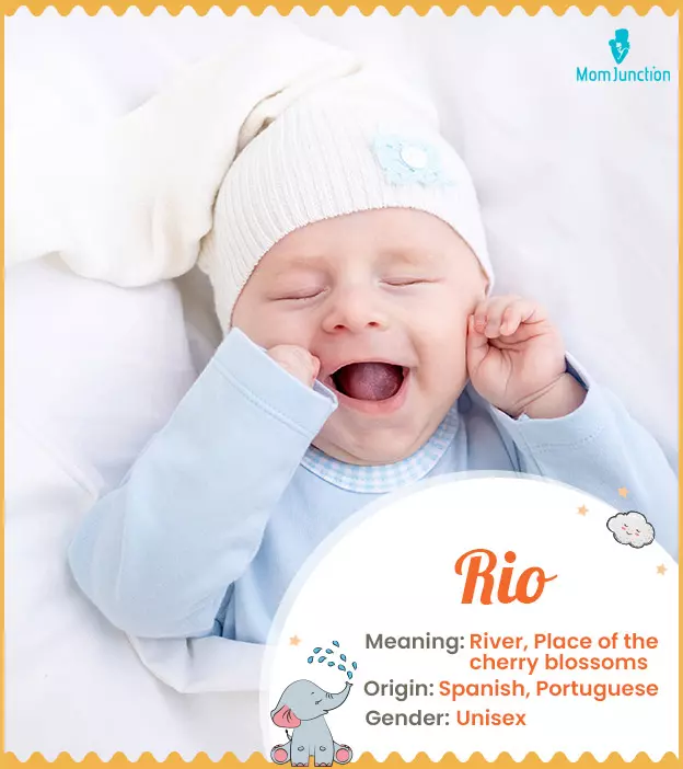 Rio zodiac signs - Horoscopeaz.com