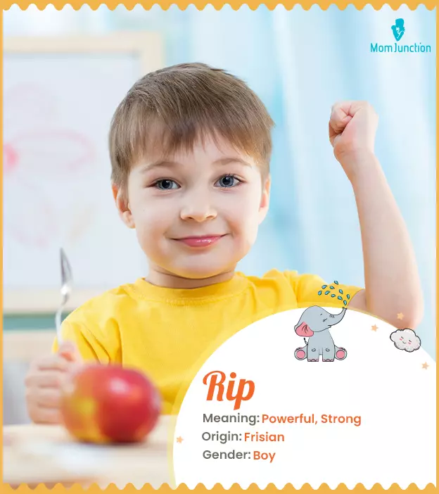 Explore Rip: Meaning, Origin & Popularity