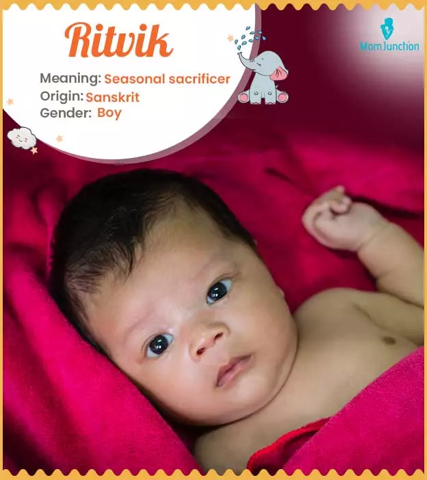 Explore Ritvik: Meaning, Origin & Popularity