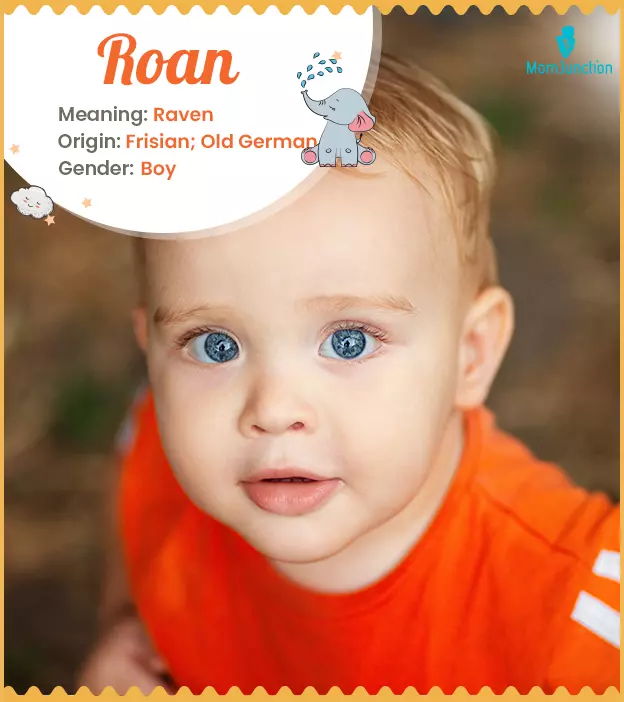 Roan Name Meaning: Complete Guide To Origin And Popularity