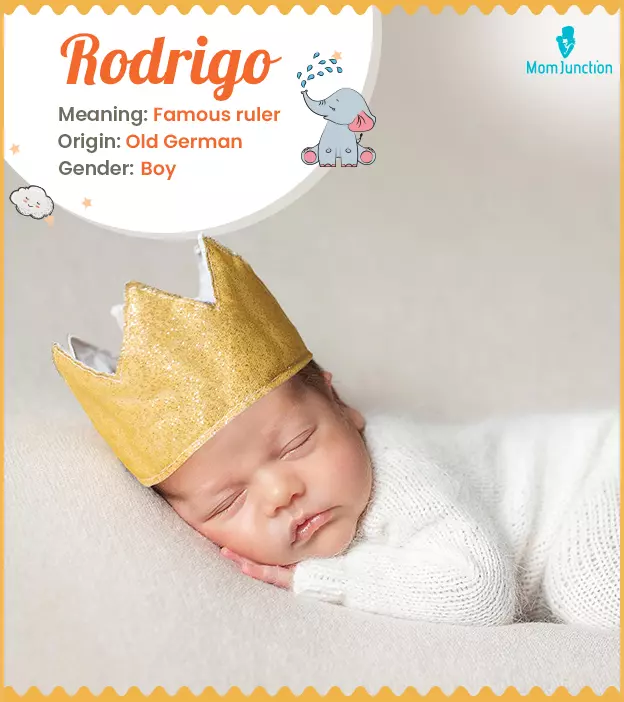 Rodrigo Name Meaning, Origin, History, And Popularity