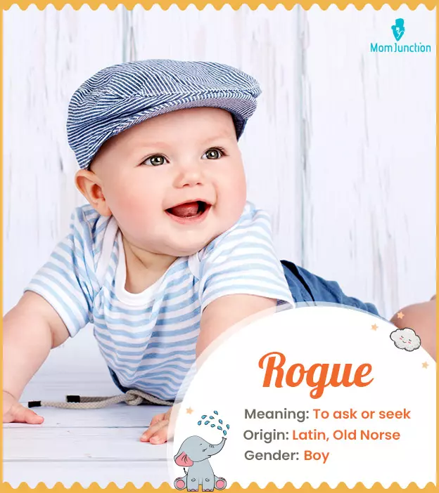 Rogue Name Meaning, Origin, History, And Popularity