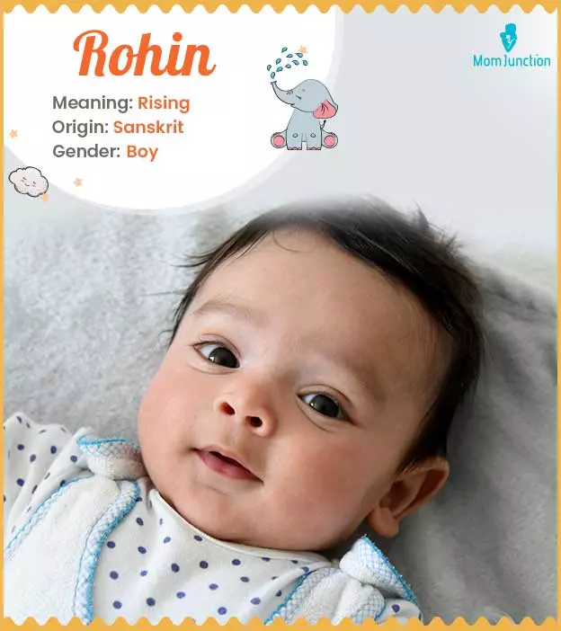 Explore Rohin: Meaning, Origin & Popularity