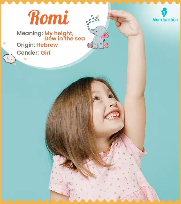 Romi Logo 640x400
