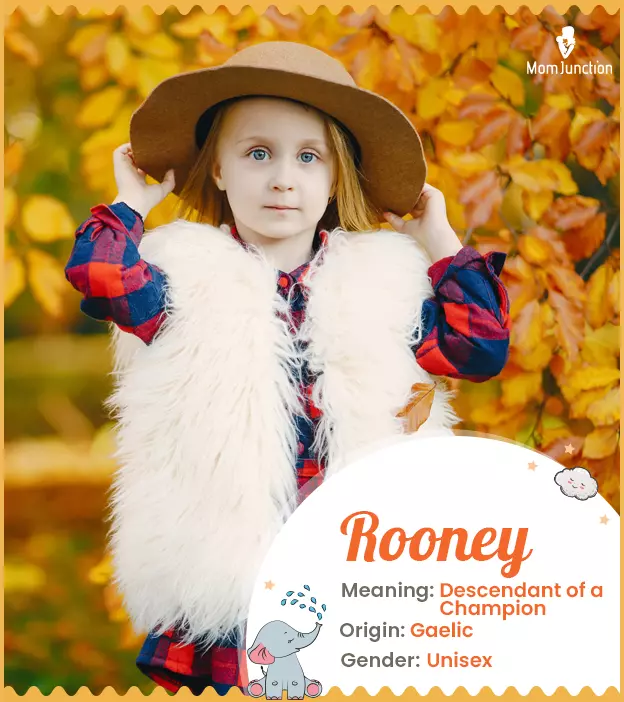 Explore Rooney: Meaning, Origin & Popularity