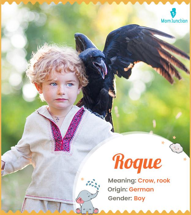 Alva Baby Name: Meaning, Origin, Popularity