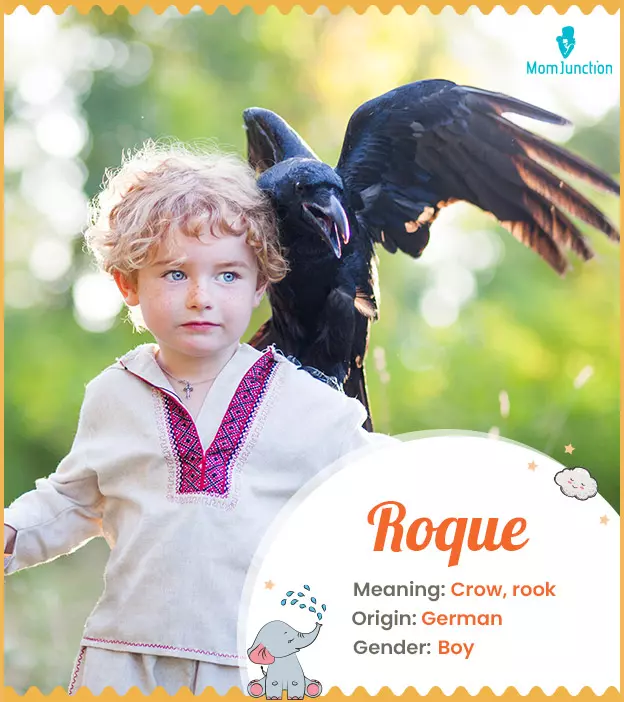 Roque Name Meaning, Origin, History, And Popularity