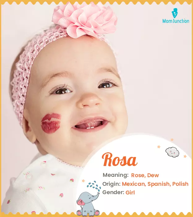 Rosa Name Meaning, Origin, History, And Popularity