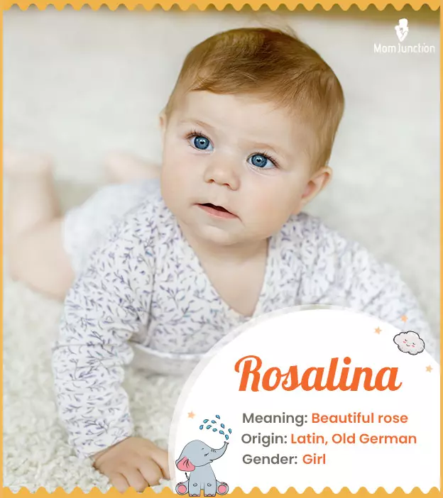 Rosalina Name Meaning, Origin, History, And Popularity