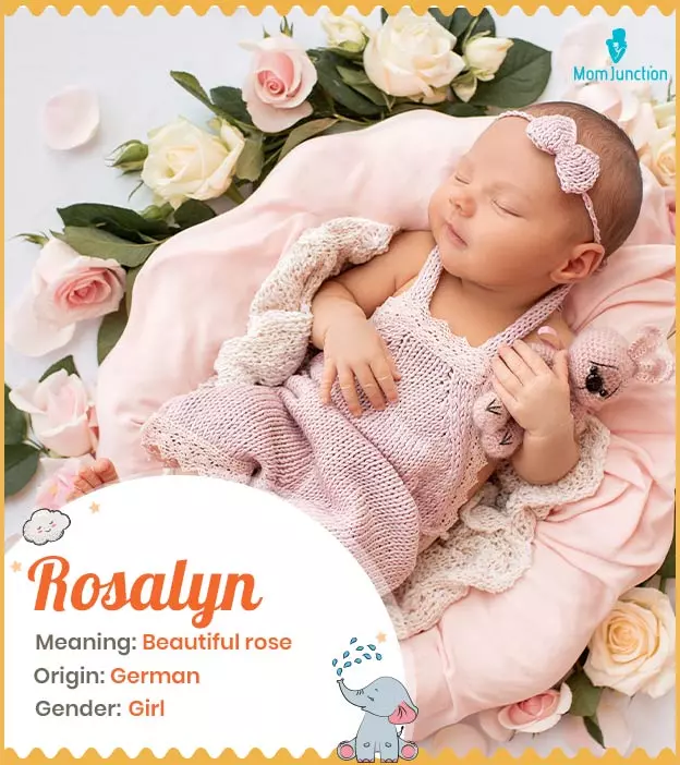 Rosalyn Name Meaning, Origin, History, And Popularity