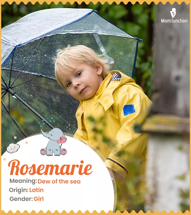 Rosemarie Name Meaning: Origin, History & Popularity Guide
