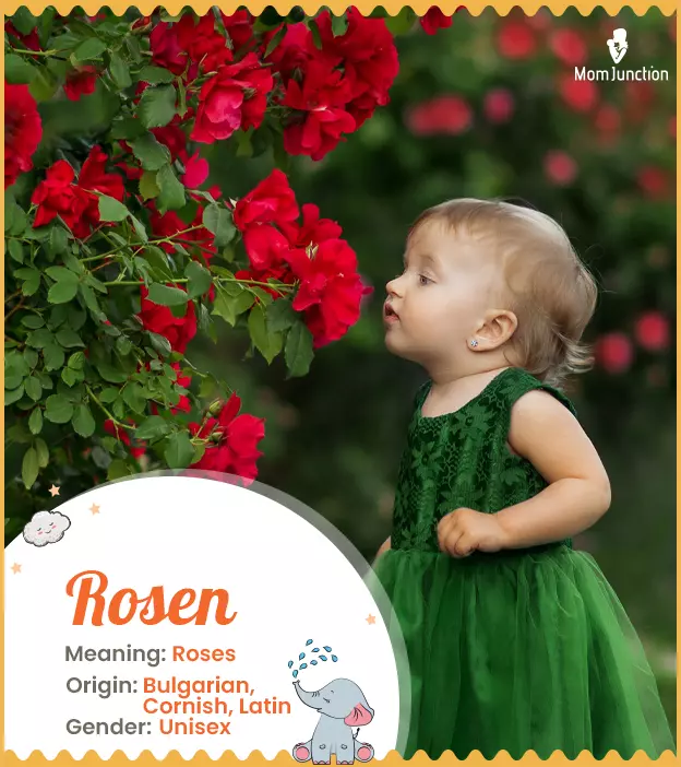 Explore Rosen Name Meaning And Origin: A Complete Guide: Meaning ...