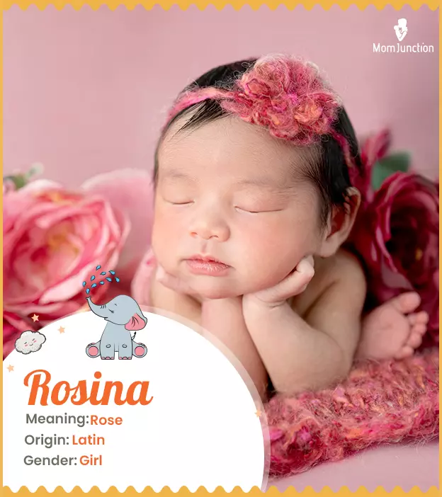 Rosina Name Meaning, Origin, History, And Popularity