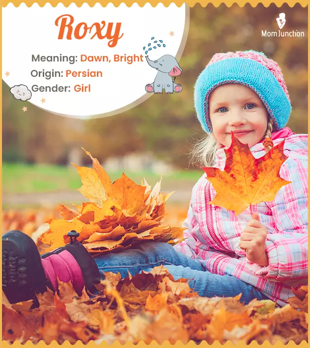 Roxy Name Meaning, Origin, History, And Popularity