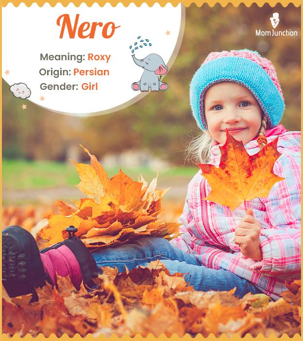 Roxy Name Meaning, Origin, History, And Popularity