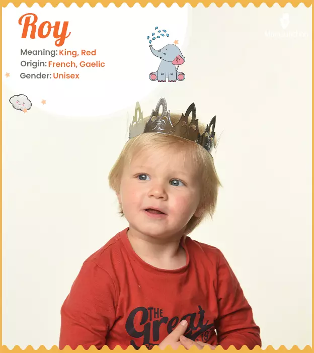 Roy Name Meaning And History: Comprehensive Guide