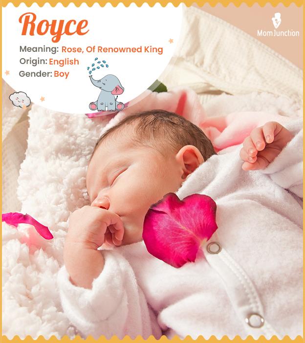 Royce Name, Meaning, Origin, History And Popularity
