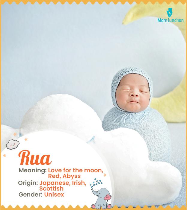 Anja Name Meaning, Origin, History, And Popularity