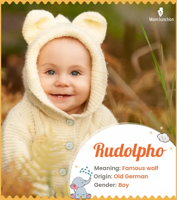 Rudolpho Name, Meaning, Origin, History And Popularity