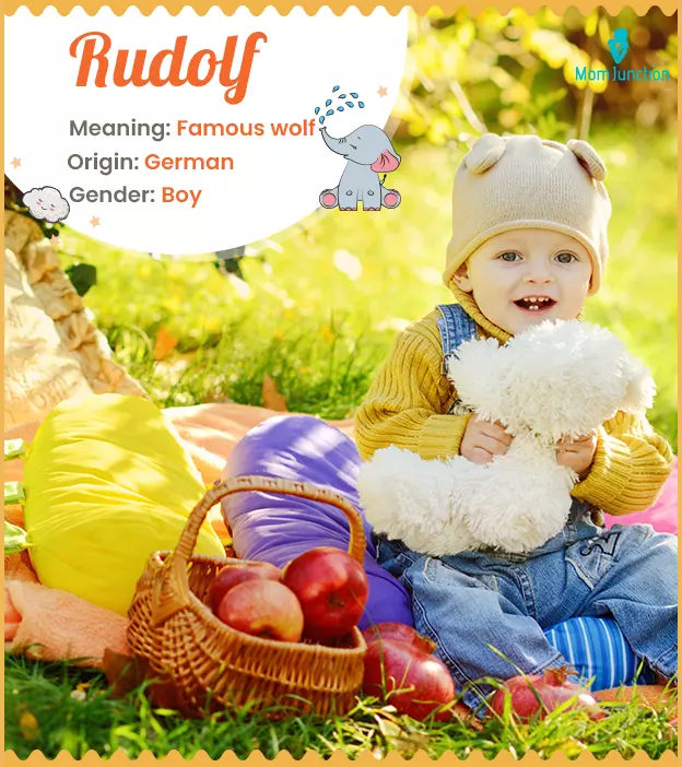 Rudolf Name Meaning, Origin, History, And Popularity.