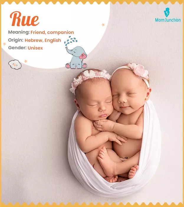 Rue Name Meaning, Origin, History, And Popularity