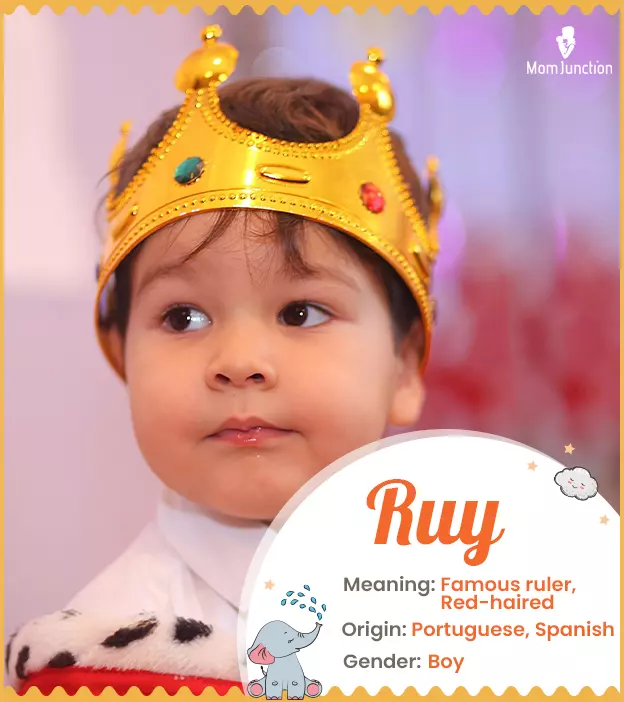 Ruy Name Meaning, Origin, History, And Popularity