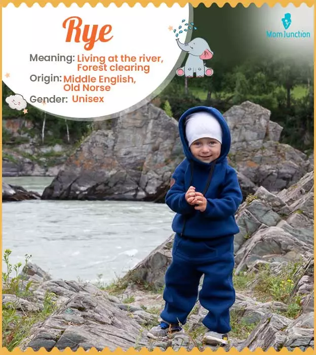 Explore Rye Name Meaning: Complete Guide To Origin, History & Trends ...