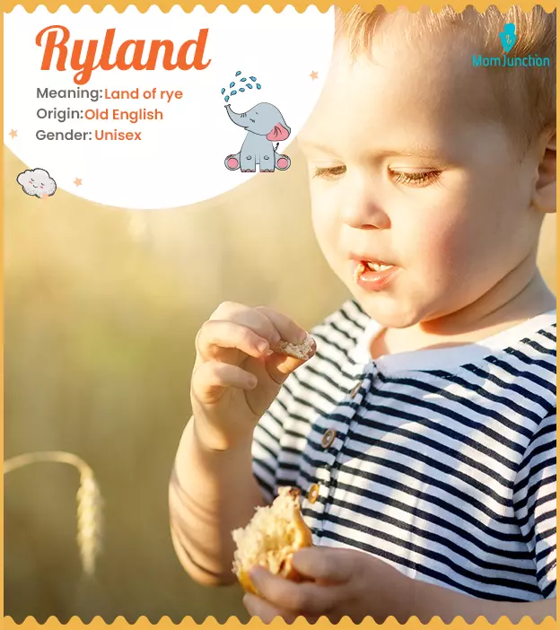 Ryland Name, Meaning, Origin, History, And Popularity