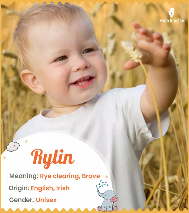 Explore Rylin: Meaning, Origin & Popularity