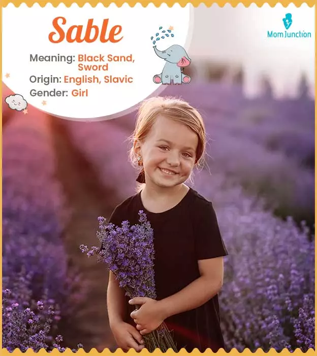 Sable Name Meaning, Origin, History, And Popularity