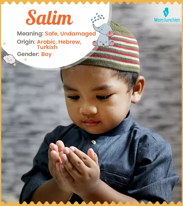 Salim Name, Meaning, Origin, History, And Popularity