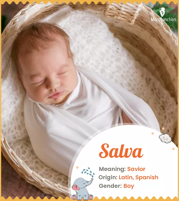 Explore Salva Name Meaning: A Complete Guide To Origin And History ...