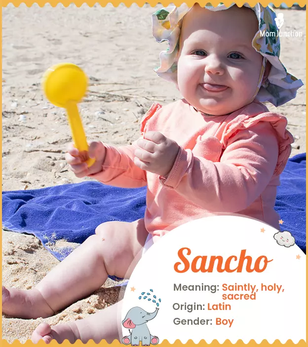 Sancho Baby Name Meaning: Complete Guide To Origin & Variations