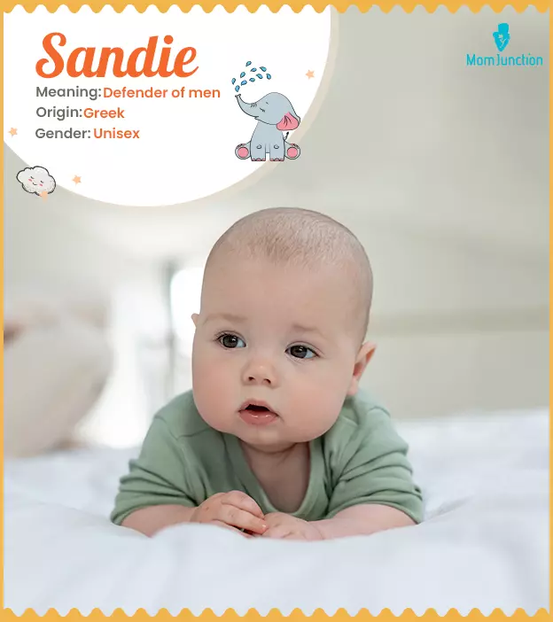 Sandie Name Meaning, Origin, History, And Popularity