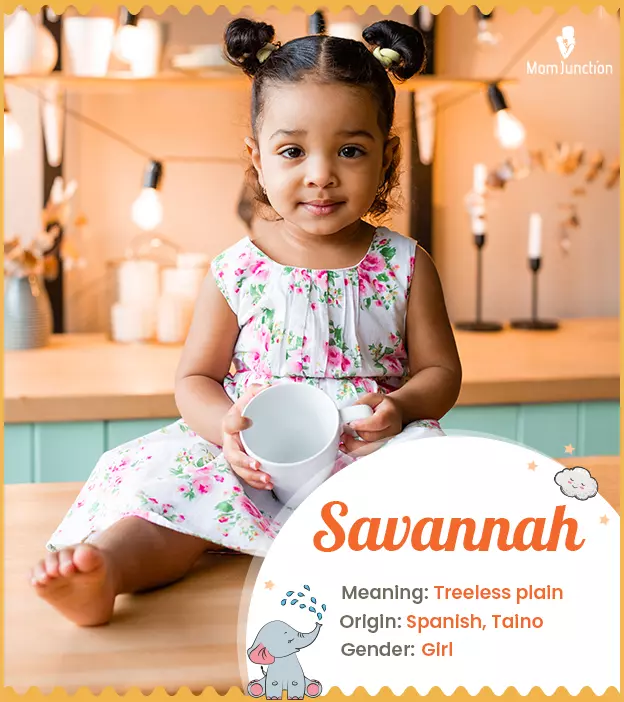 Savannah Name Meaning, Origin, History, And Popularity