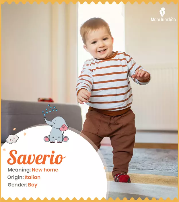 Saverio: Complete Guide To Origin, Meaning, And Popularity