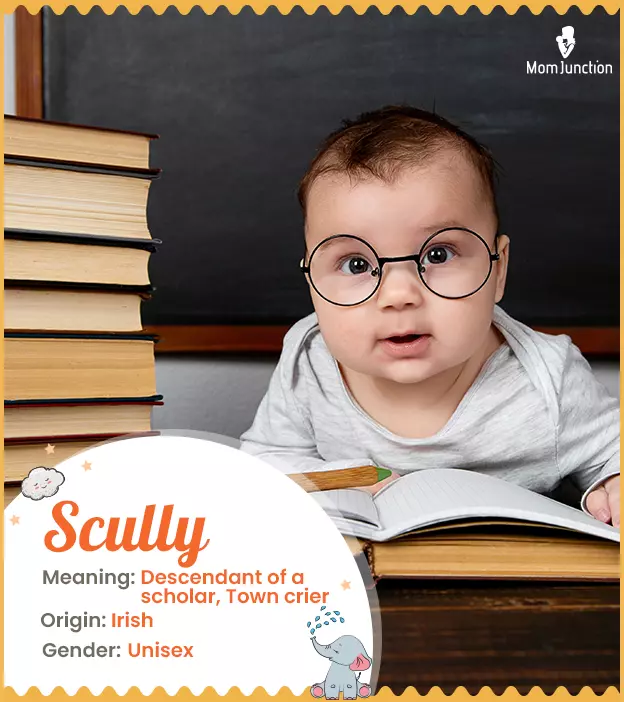 Explore Scully: Meaning, Origin & Popularity