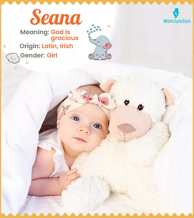 Seana Name Meaning, Origin, History, And Popularity