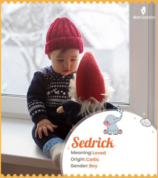 Sedrick Name Meaning, Origin, History, And Popularity