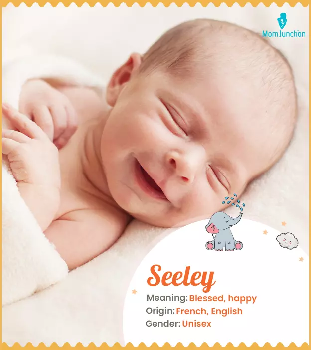 Seeley Name Meaning: A Complete Guide