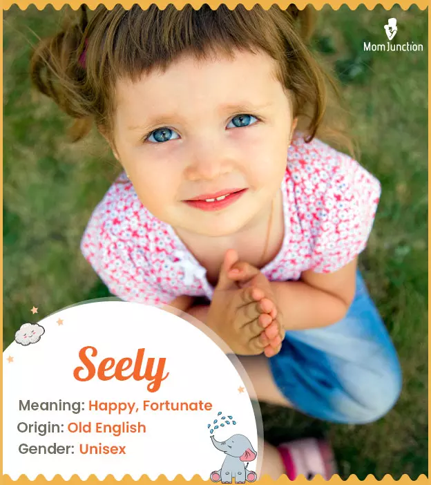 Seely Name Meaning, Origin, History, And Popularity