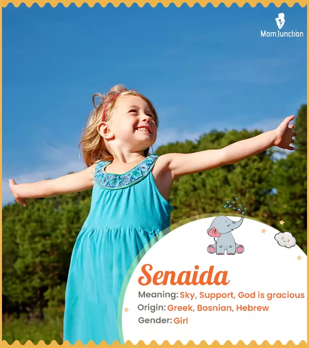 Explore Senaida Name Meaning: Complete Guide To Origin And Variants ...