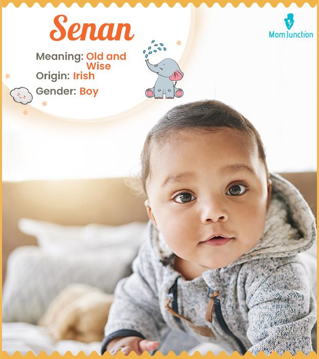 Gunther Name Meaning, Origin, History, And Popularity