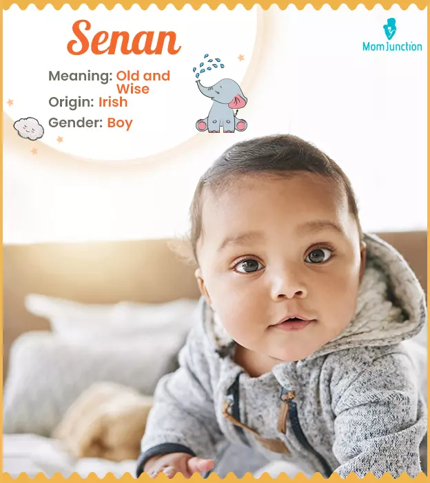 Senan Name Meaning, Origin, And History: A Comprehensive Guide