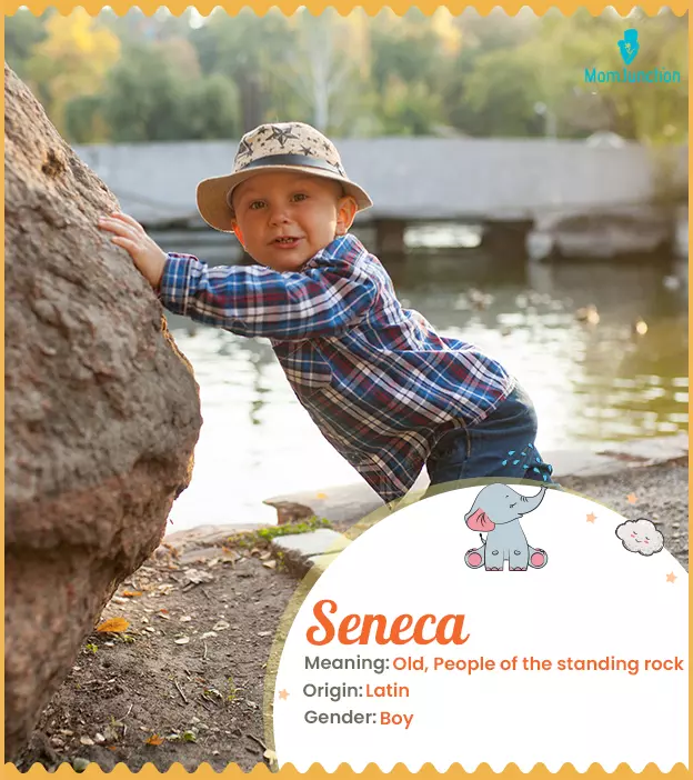 Explore Seneca: Meaning, Origin & Popularity